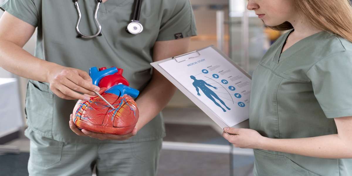 What Does A Registered Vascular Technologist Do 